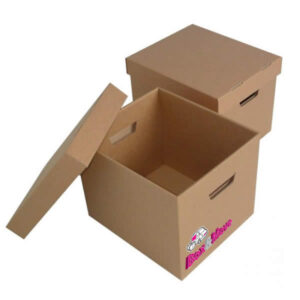 Document Storage Filing Box - Box & Move Furniture Moving Company